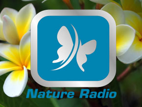Nature Radio | TV App | Roku Channel Store | Roku