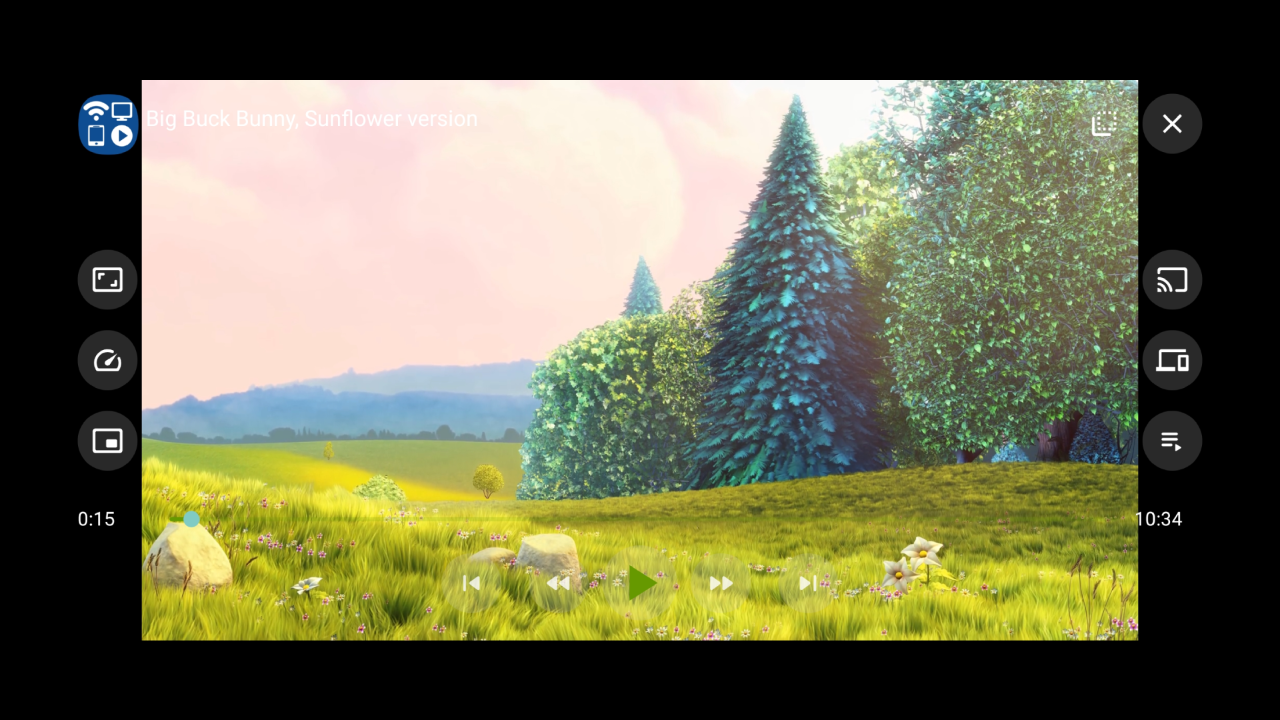 Castify | TV App | Roku Channel Store | Roku