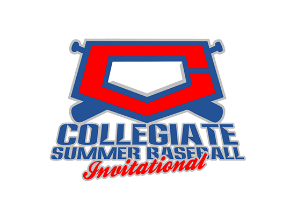 CSBI 2020 | TV App | Roku Channel Store | Roku