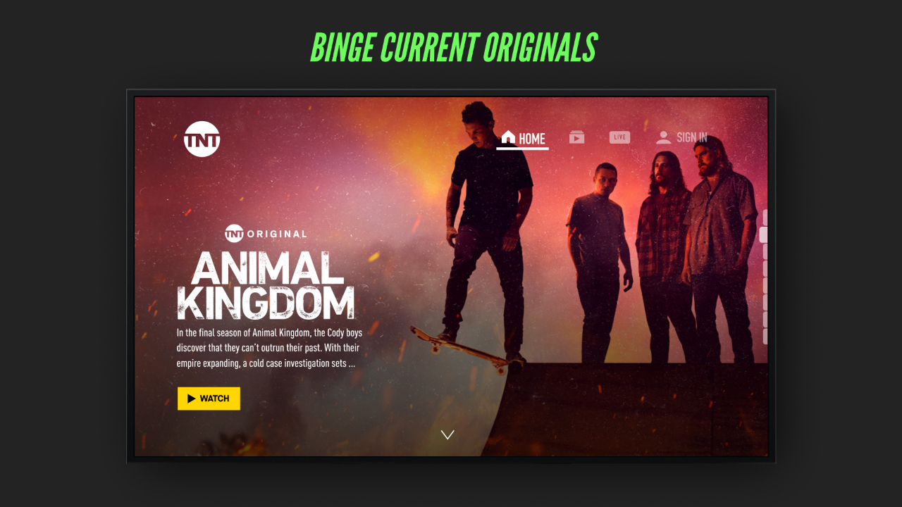 Watch TNT | TV App | Roku Channel Store | Roku