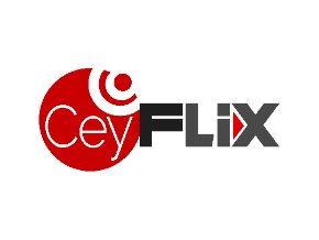Ceyflix | TV App | Roku Channel Store | Roku