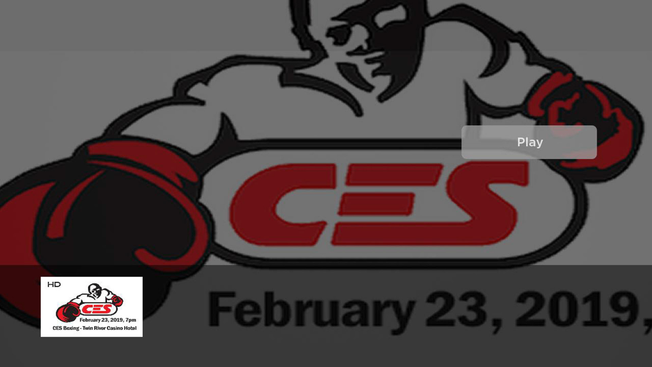 VIVE - 4K TV | RK Guide