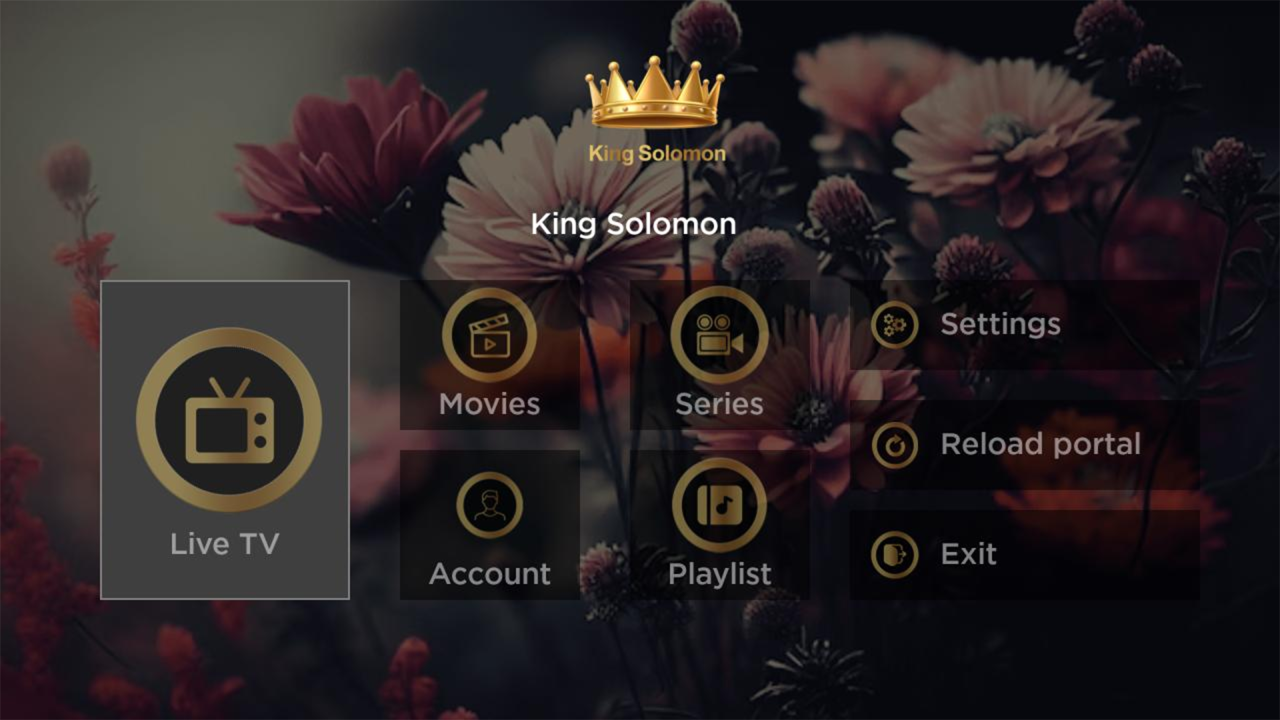 King Solomon | TV App | Roku Channel Store | Roku