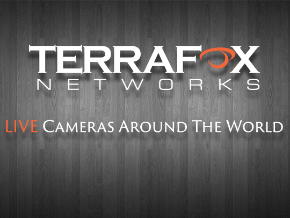 Terrafox TV | RK Guide