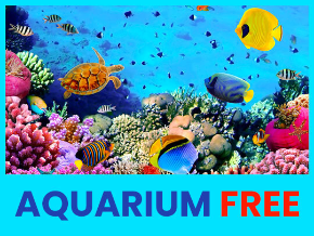 Aquarium Free - Relaxing Fish & Coral Reef Videos with Music 4K TV | TV ...