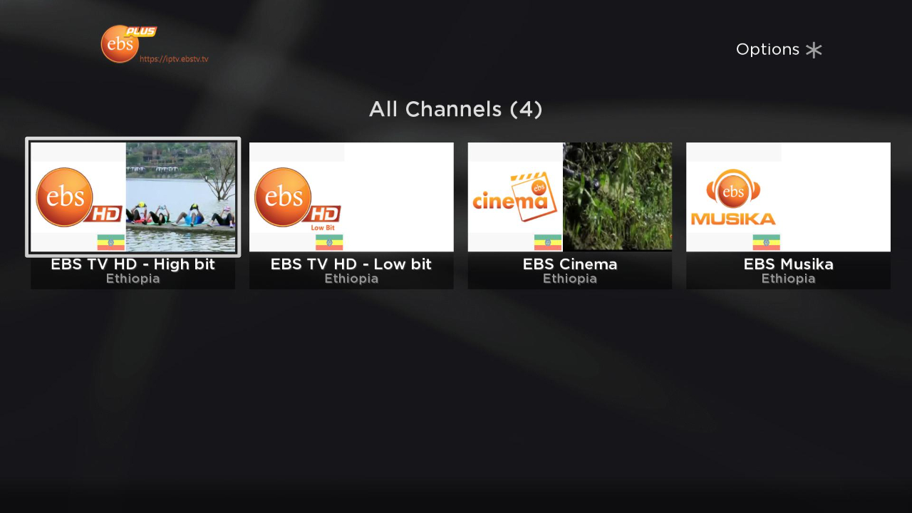 EBS TV - Ethiopian Broadcasting Service | TV App | Roku Channel Store | Roku
