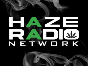 Haze TV Network | TV App | Roku Channel Store | Roku