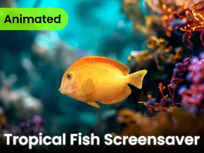 Tropical Fish Screen Saver HD | TV App | Roku Channel Store | Roku