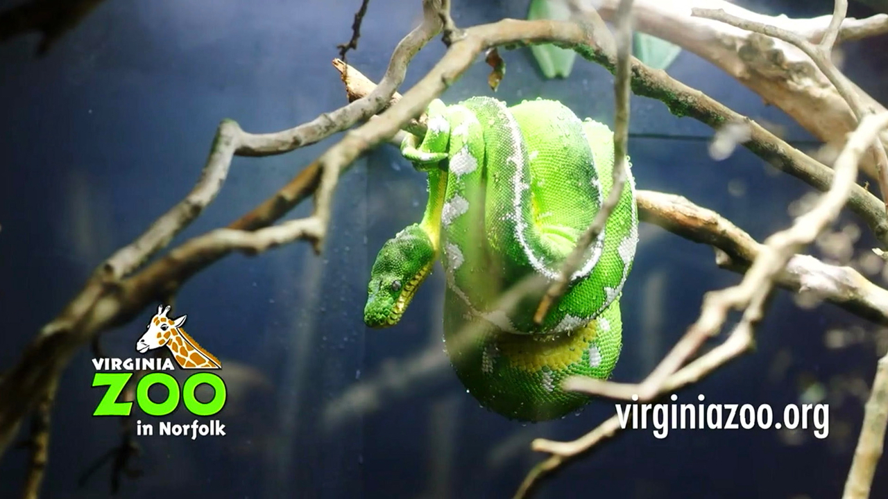 The Vacation Channels | TV App | Roku Channel Store | Roku