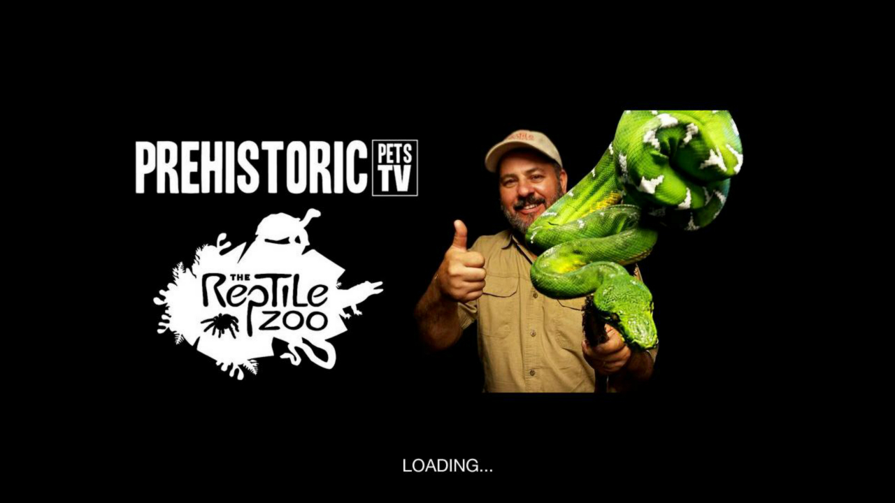 Prehistoric Pets TV | TV App | Roku Channel Store | Roku