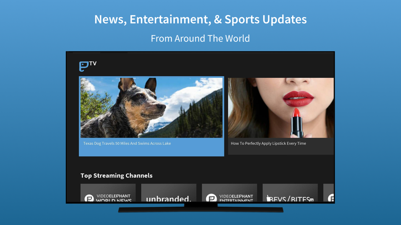 VideoElephant TV TV App Roku Channel Store Roku