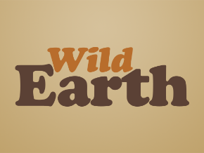 WildEarth | TV App | Roku Channel Store | Roku
