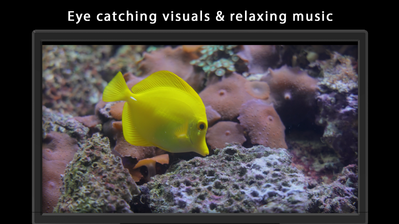 Aquarium Free - Relaxing Fish & Coral Reef Videos with Music in FHD ...