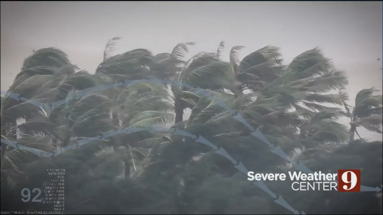 WFTV Now - Channel 9 Orlando | TV app | Roku Channel Store | Roku