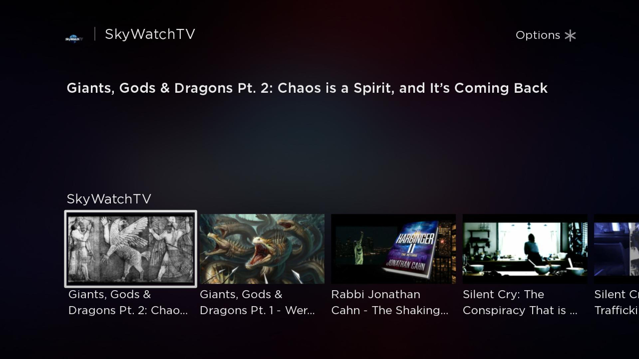 SkyWatchTV | TV App | Roku Channel Store | Roku