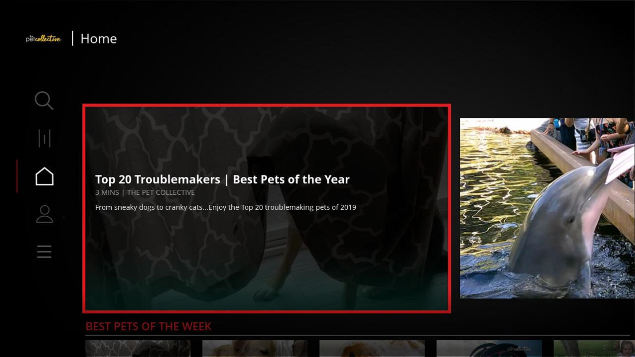 The Pet Collective | Roku Channel Store | Roku