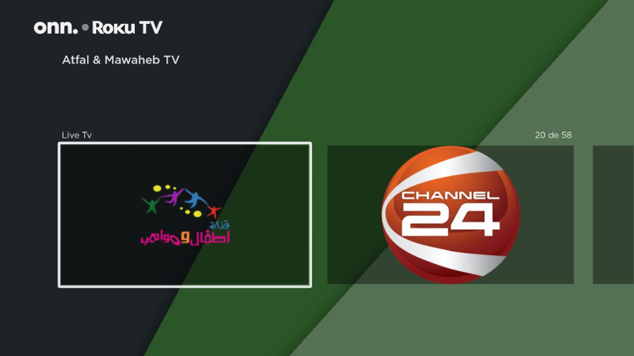 Saudi Arabia TV | Roku Channel Store | Roku
