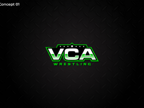 Velocity Channel Logo