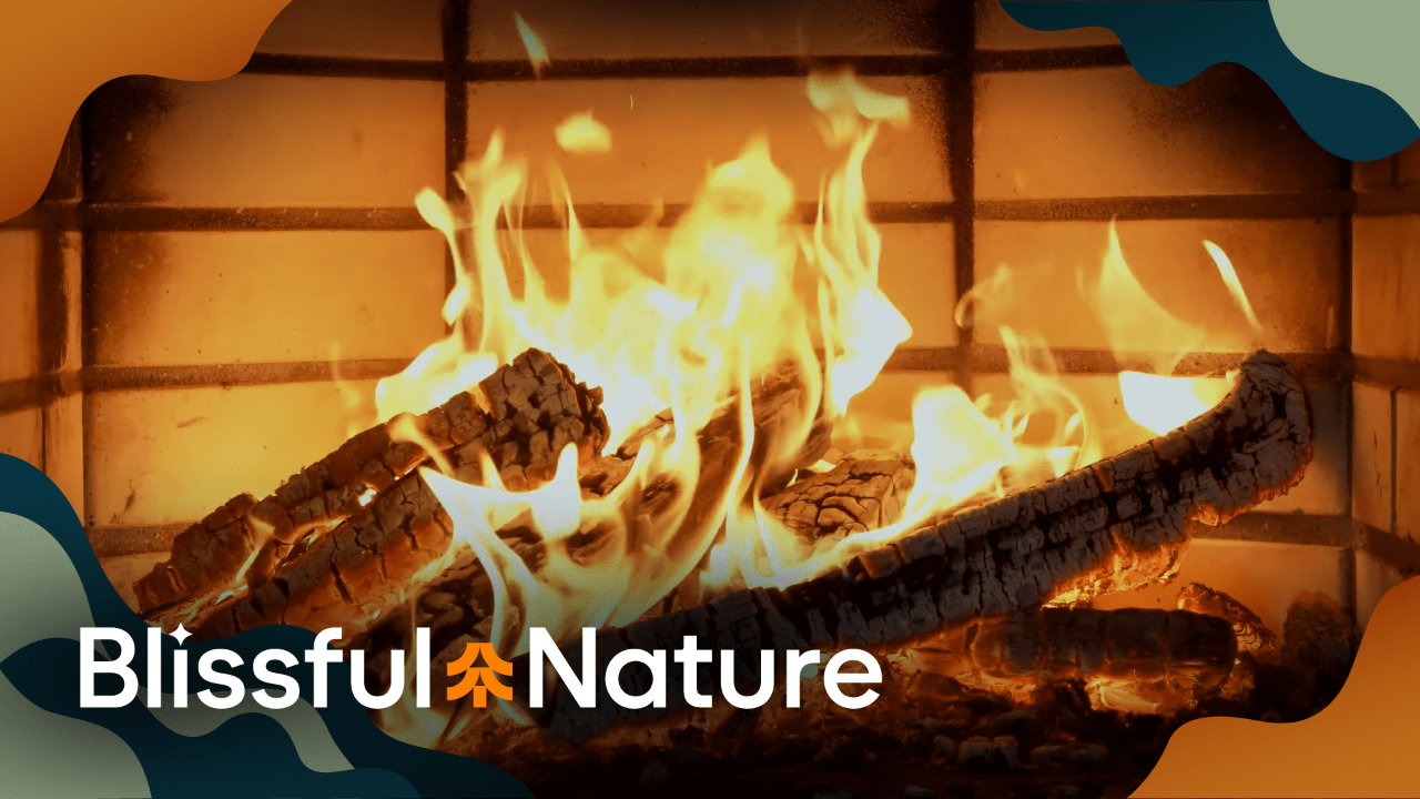 Blissful Nature | TV App | Roku Channel Store | Roku