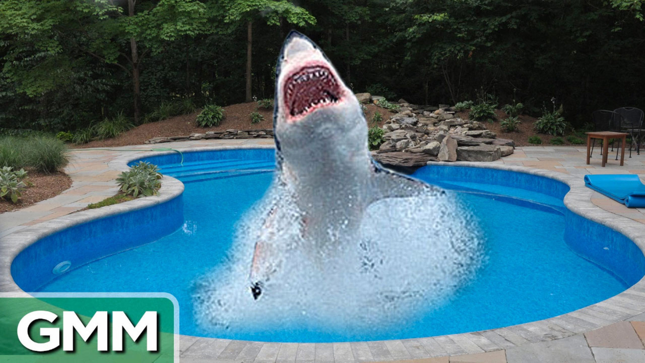 Good Mythical Morning | TV app | Roku Channel Store | Roku