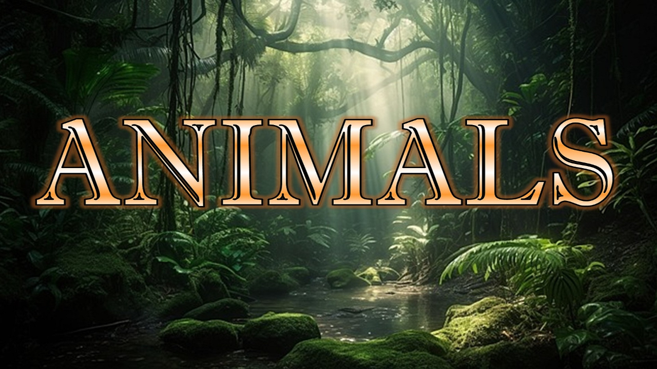 ANIMALS | TV App | Roku Channel Store | Roku