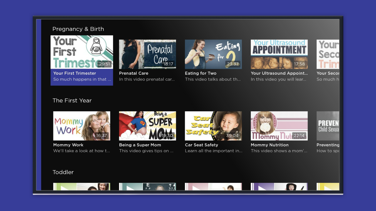 BrightCourse | TV App | Roku Channel Store | Roku