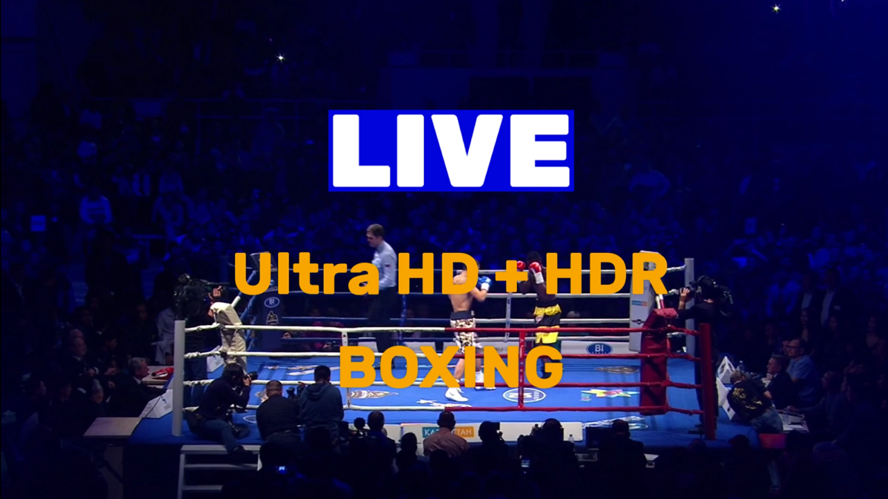 VIVE - 4K TV | RK Guide