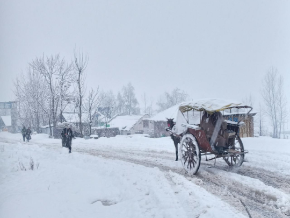 Snowfall Free - Virtual Snow Fall for TV | TV App | Roku Channel Store ...