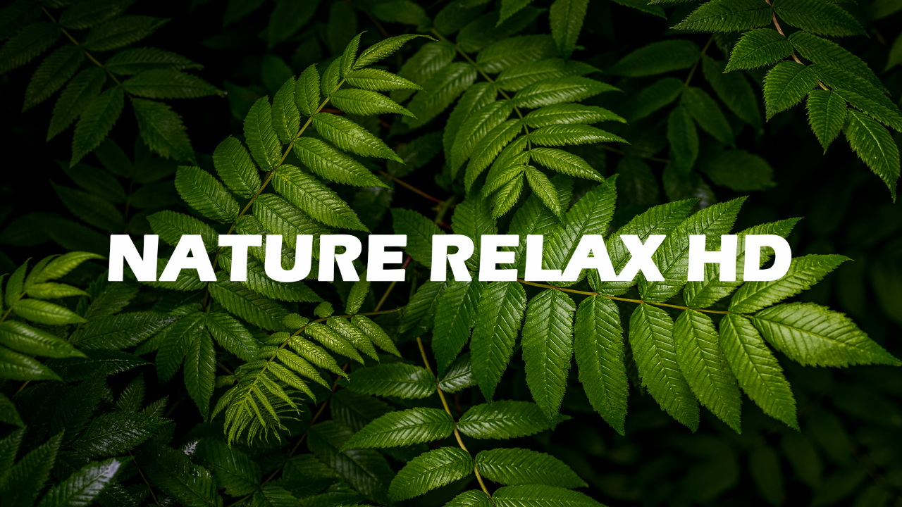 Nature Relax HD | TV App | Roku Channel Store | Roku