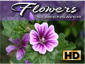 Flowers Premium HD Screensaver | TV App | Roku Channel Store | Roku