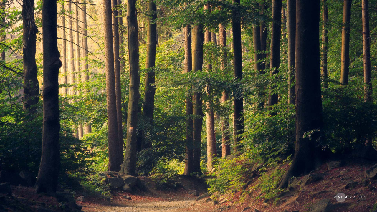 Calm Radio Screensavers - Landscapes | TV App | Roku Channel Store | Roku