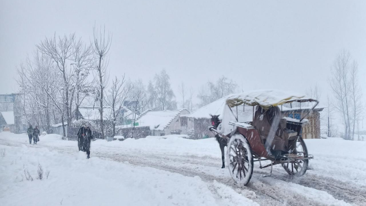 Snowfall Free - Virtual Snow Fall for TV | TV App | Roku Channel Store ...