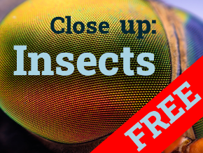 Close up: Insects | TV App | Roku Channel Store | Roku