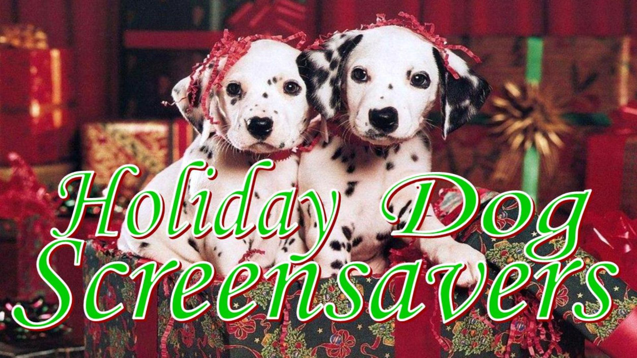Holiday Dog Screensavers | RK Guide