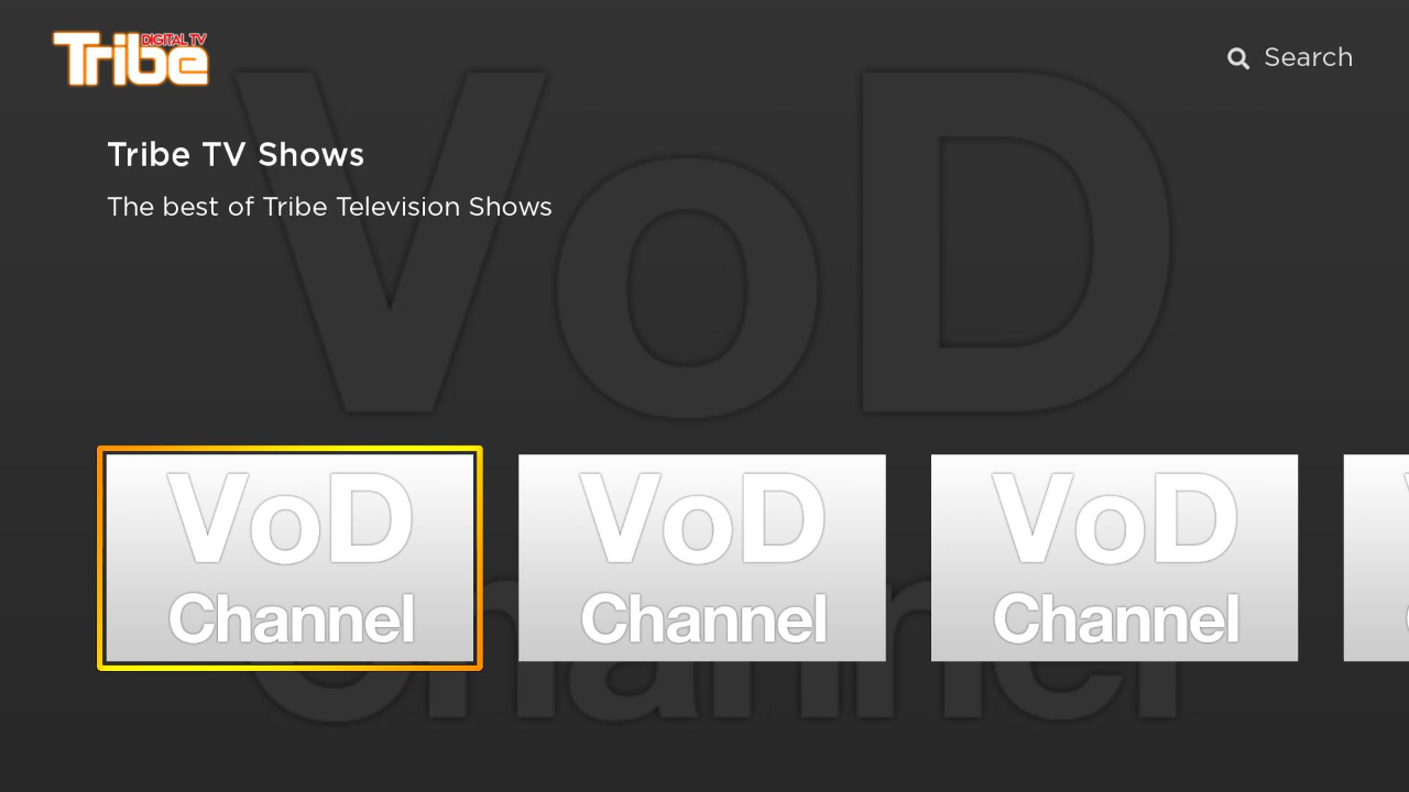 Tribe Digital TV | TV App | Roku Channel Store | Roku