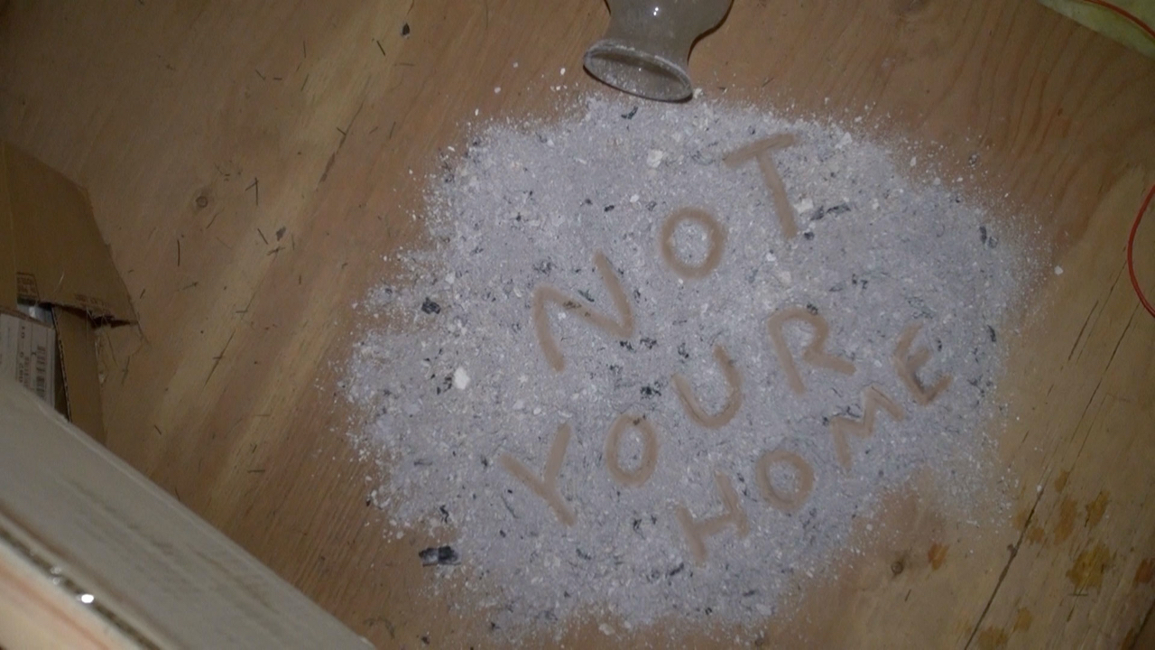 Bad Ben TV | TV App | Roku Channel Store | Roku