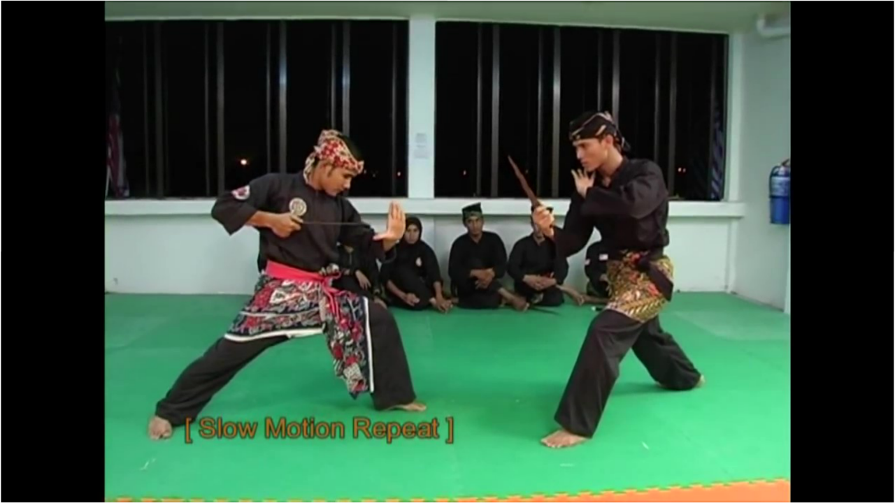 Learn Martial Arts by Whoooaaa | TV App | Roku Channel Store | Roku