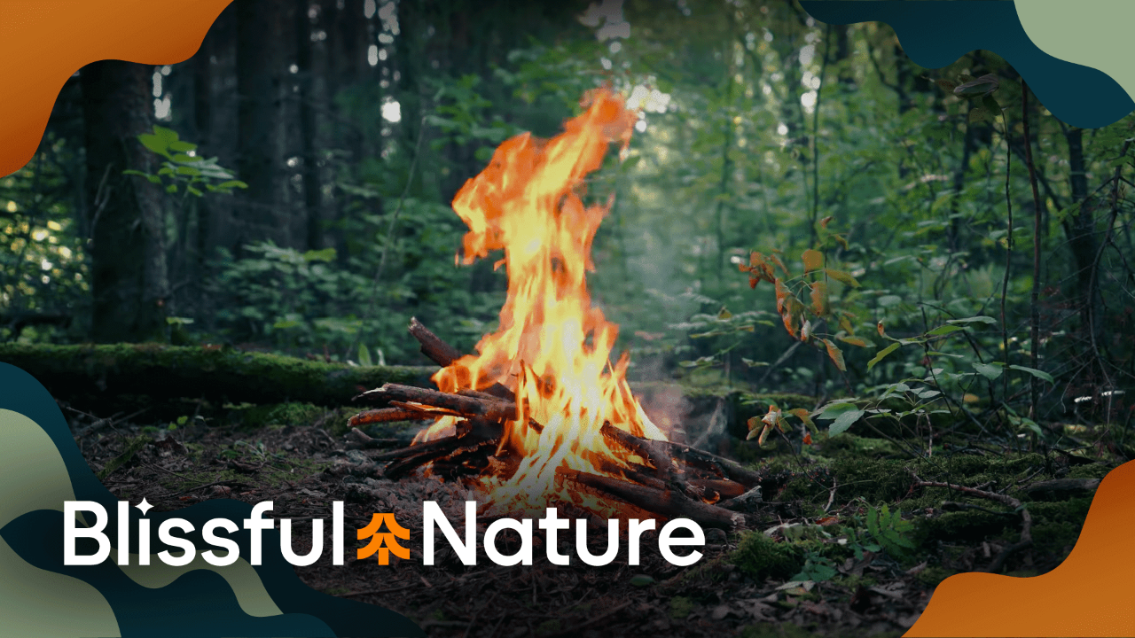 Blissful Nature | TV App | Roku Channel Store | Roku