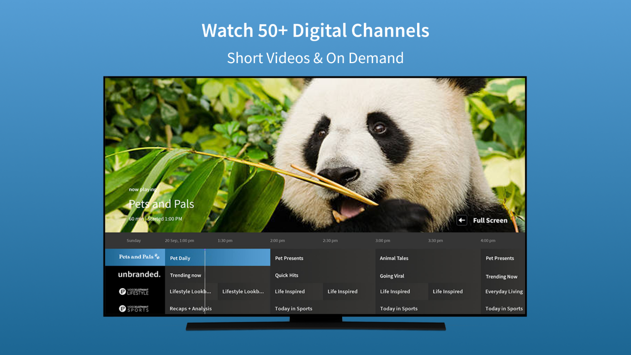 VideoElephant TV | TV App | Roku Channel Store | Roku
