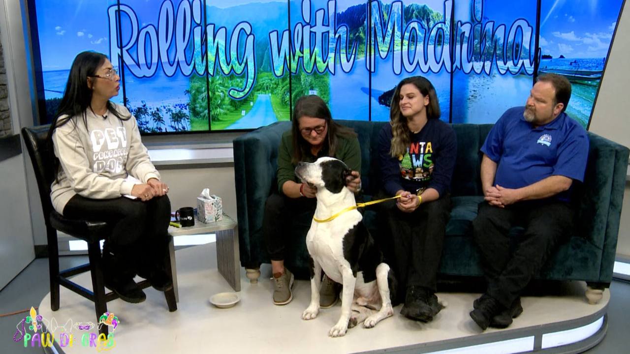 BlabTV | TV App | Roku Channel Store | Roku