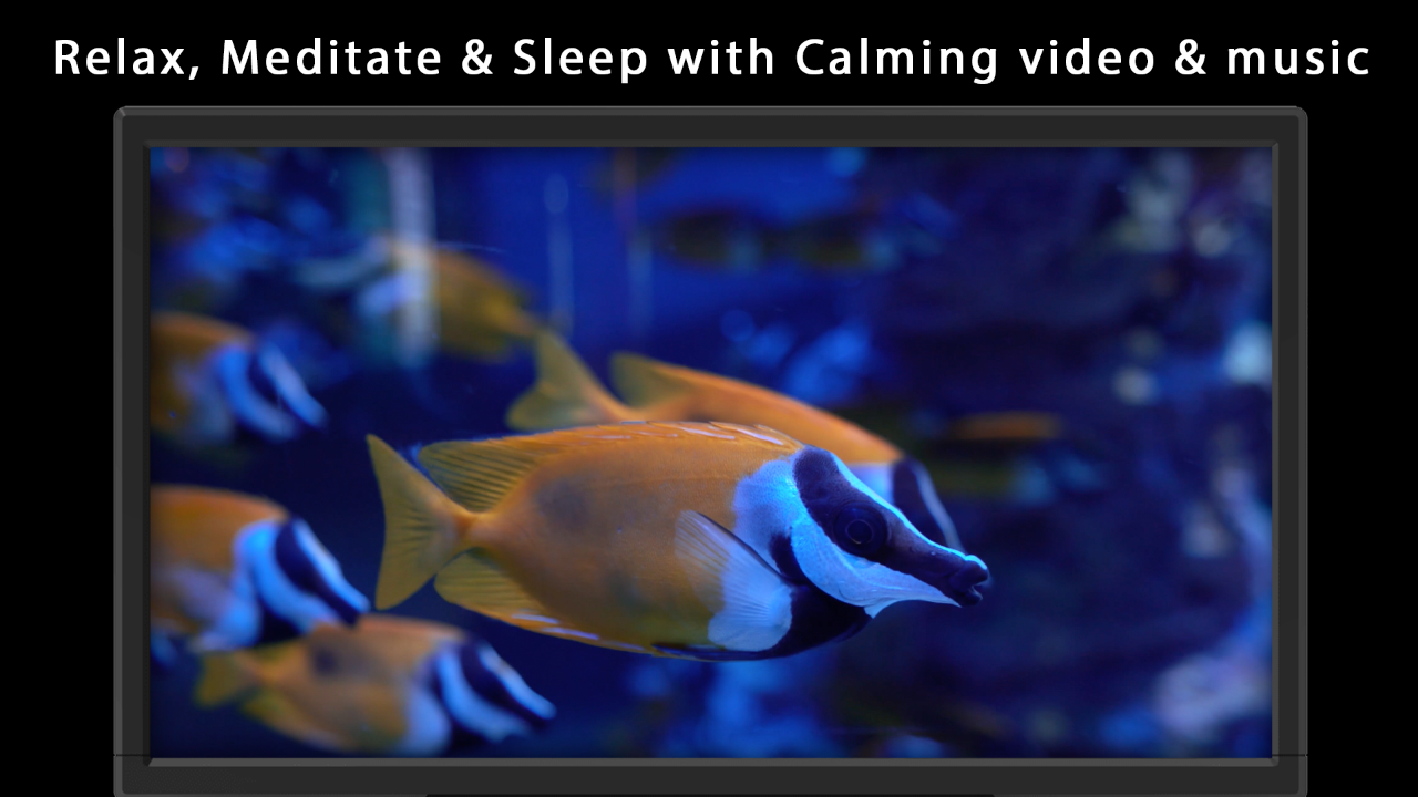Aquarium Free - Relaxing Fish & Coral Reef Videos with Music in FHD ...