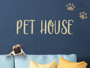 Pet House Theme | TV app | Roku Channel Store | Roku