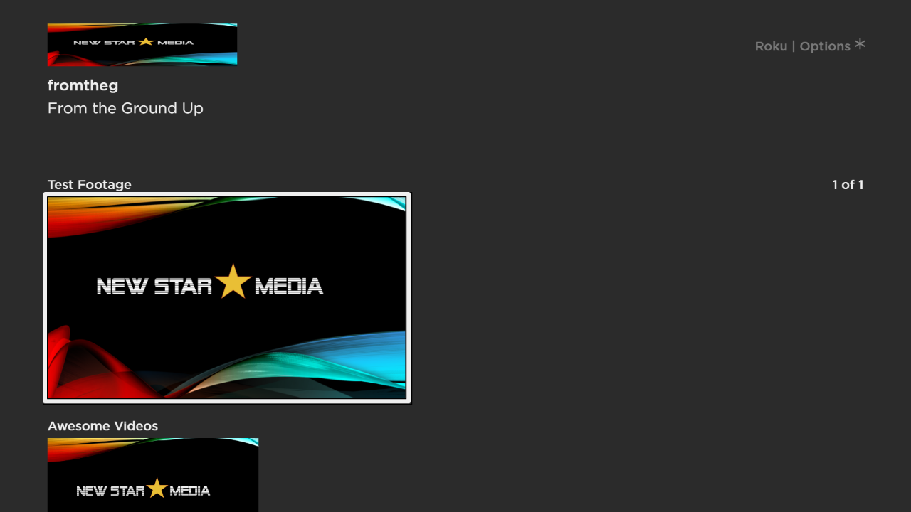 New Star Media | TV App | Roku Channel Store | Roku