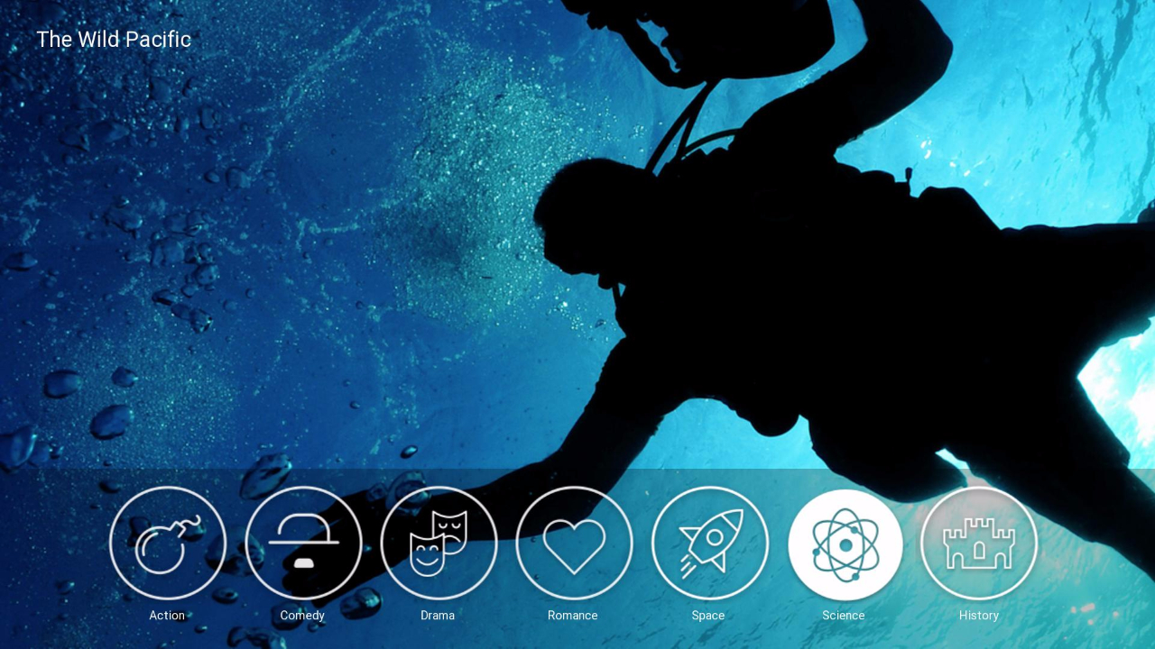 Vizbee | TV App | Roku Channel Store | Roku