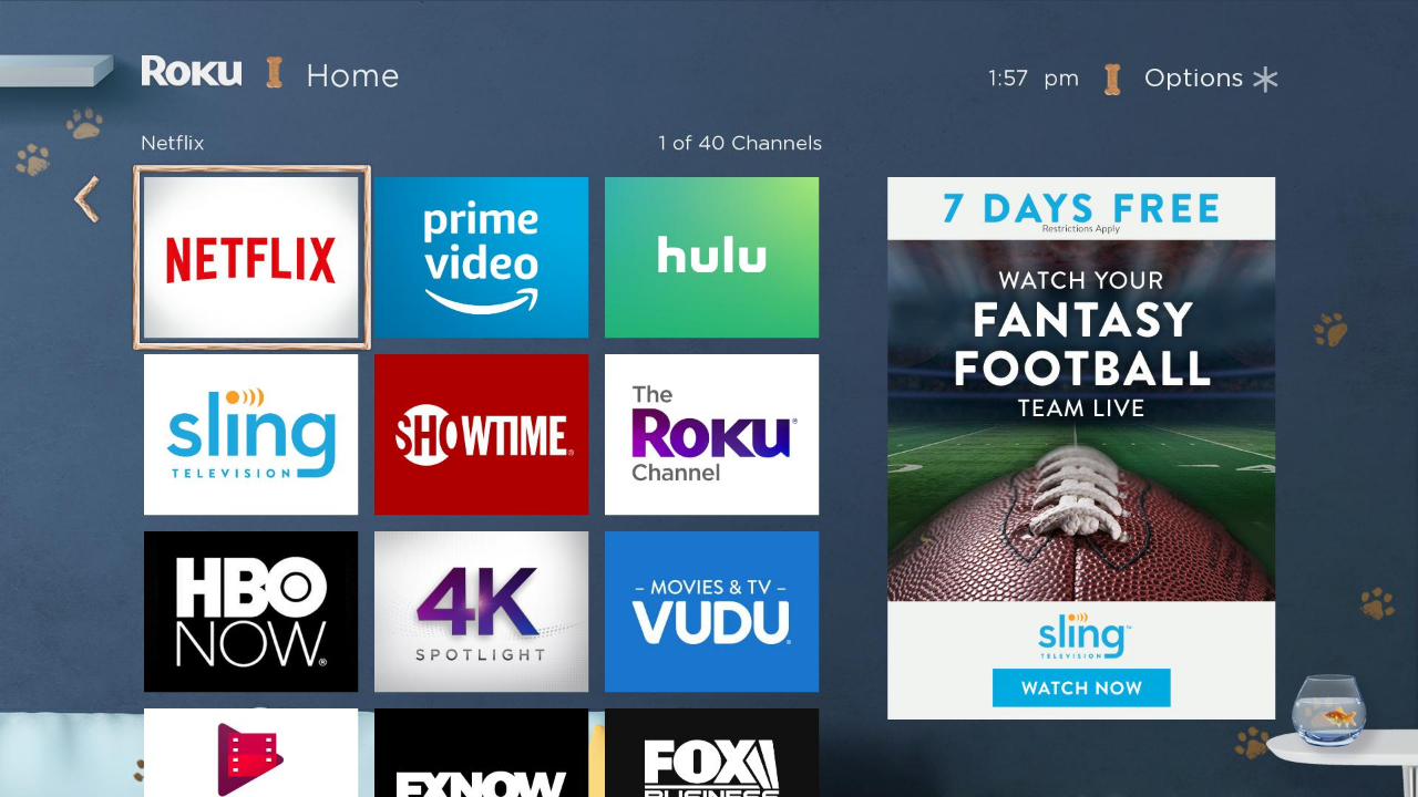 Pet House Theme | TV App | Roku Channel Store | Roku